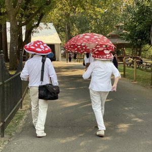 LABUBU NIGHT MARKET - Updated August 2025 - 14 Photos - 1100 SE ...