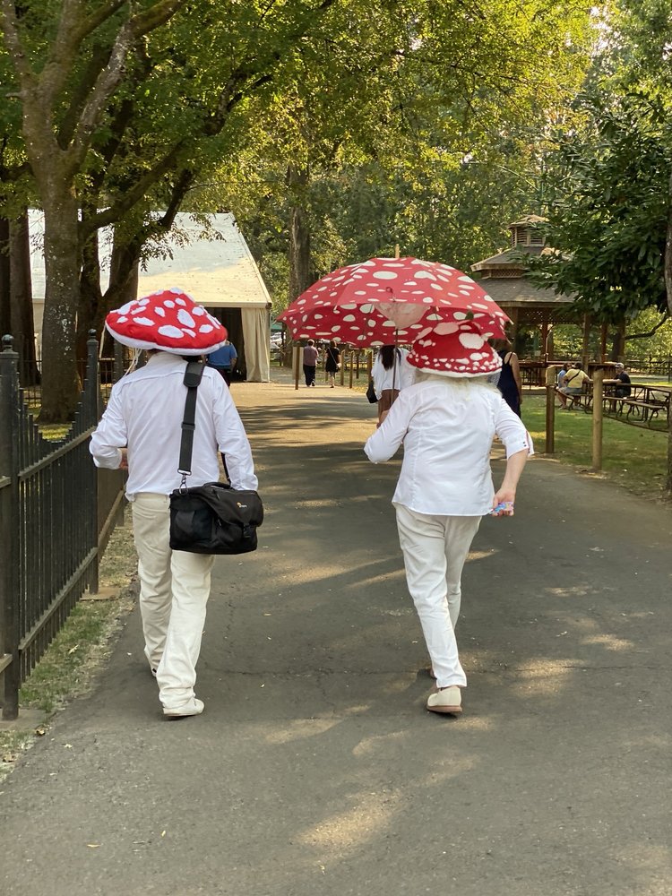 WEIRD FEST - Updated October 2025 - 7805 SE Oaks Park Way, Portland, Oregon - Local Flavor - Yelp