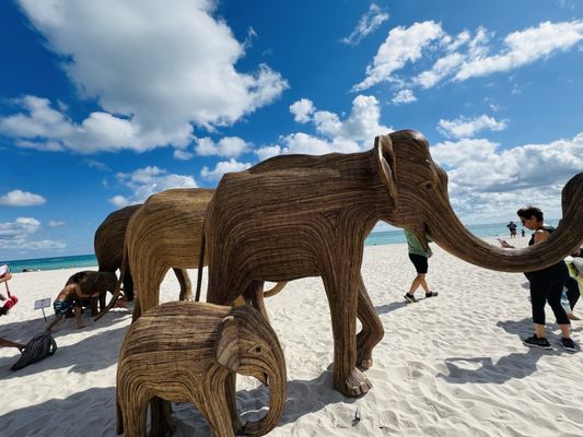 THE GREAT ELEPHANT MIGRATION - Updated March 2026 - 143 Photos & 11 ...