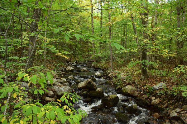 STOKES STATE FOREST - 93 Photos & 38 Reviews - Hiking - 1 Coursen Rd ...