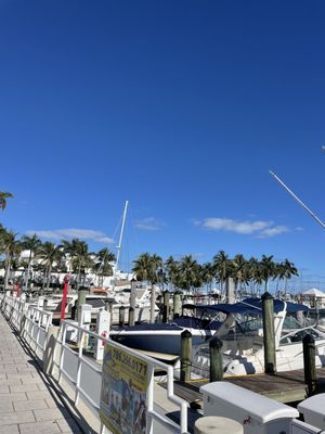 DINNER KEY MARINA - Updated October 2025 - 95 Photos & 22 Reviews ...