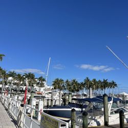 DINNER KEY MARINA - 95 Photos & 21 Reviews - 3400 Pan American Dr ...