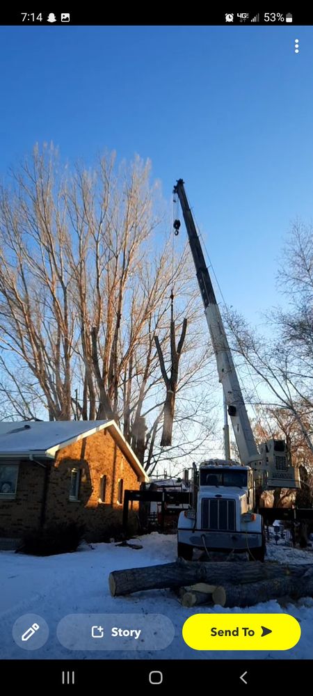 SW TREE SERVICE - Updated December 2025 - Canadian Lakes, Michigan ...