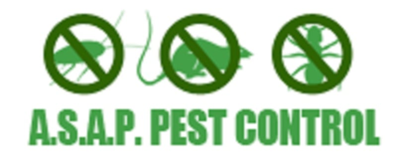 ASAP PEST CONTROL - Updated July 2025 - New Smyrna Beach, Florida ...