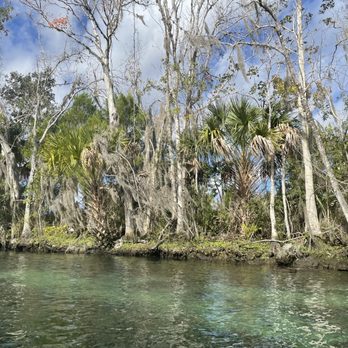 CRYSTAL RIVER KAYAK COMPANY - 217 Photos & 189 Reviews - 1422 SE Us Hwy ...