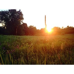 BEAVER BROOK RESERVATION - 59 Photos & 46 Reviews - 66 Mill St, Belmont ...