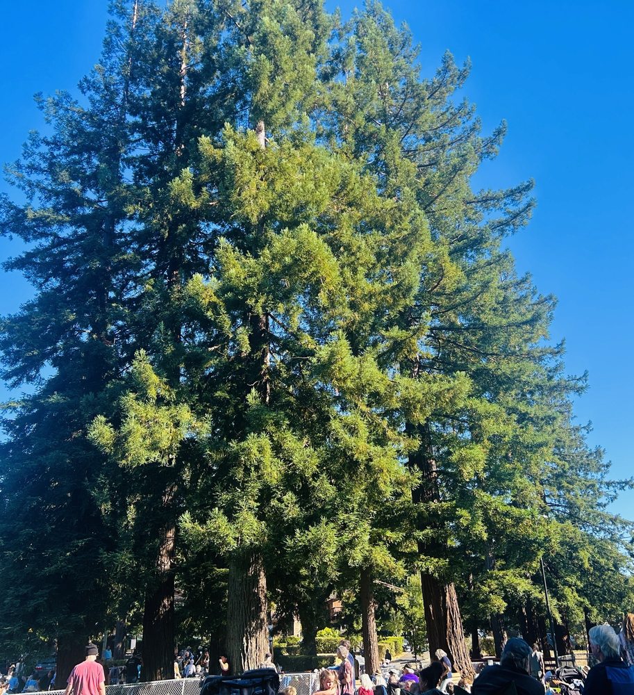 IVES PARK - Updated October 2025 - 19 Photos - 7400 Willow St ...