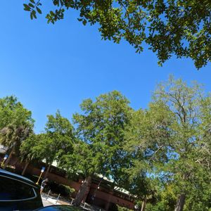 WESTCHASE RECREATION CENTER - Updated July 2025 - 9791 Westchase Dr ...