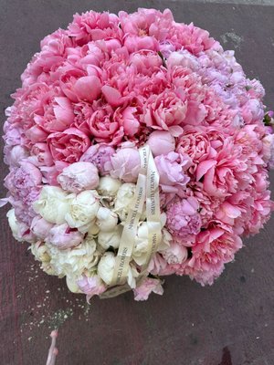 MARCELA FLOWERS - Updated December 2025 - 80 Photos - 23-37 Borden Ave ...