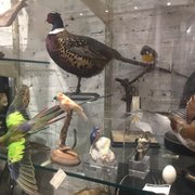 THE EVOLUTION STORE - 308 Photos & 183 Reviews - 687 Broadway, New York ...