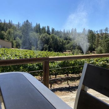 ELEMENT 79 VINEYARDS - Updated September 2025 - 107 Photos & 65 Reviews ...