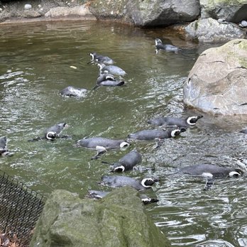 POINT DEFIANCE ZOO & AQUARIUM - Updated November 2024 - 1570 Photos ...