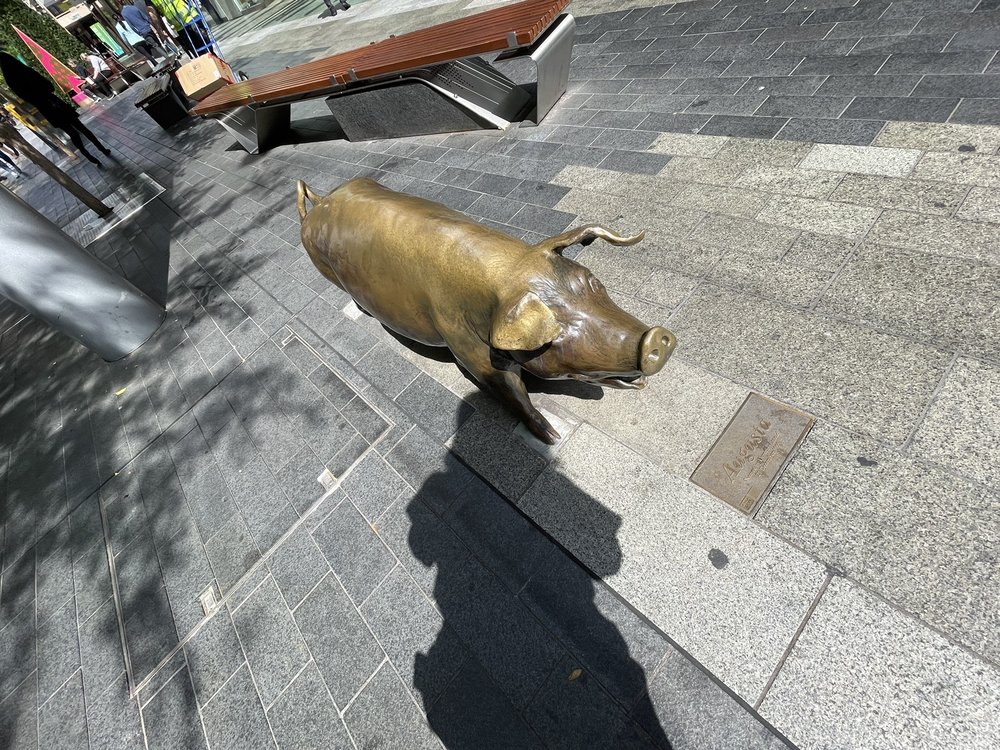 RUNDLE MALL PIGS - Updated February 2025 - 61 Photos & 18 Reviews ...