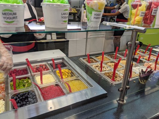 YOGO BERRY - 20 Photos - 6101 Gateway Blvd W Spc O280, El Paso, Texas ...