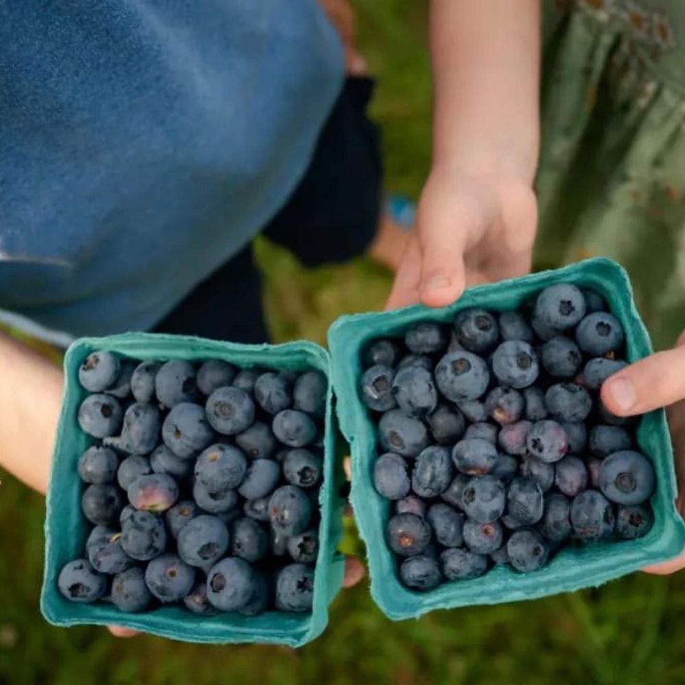 SECOND DROP FARM - Updated October 2025 - 35 Photos - 551 North Main St ...