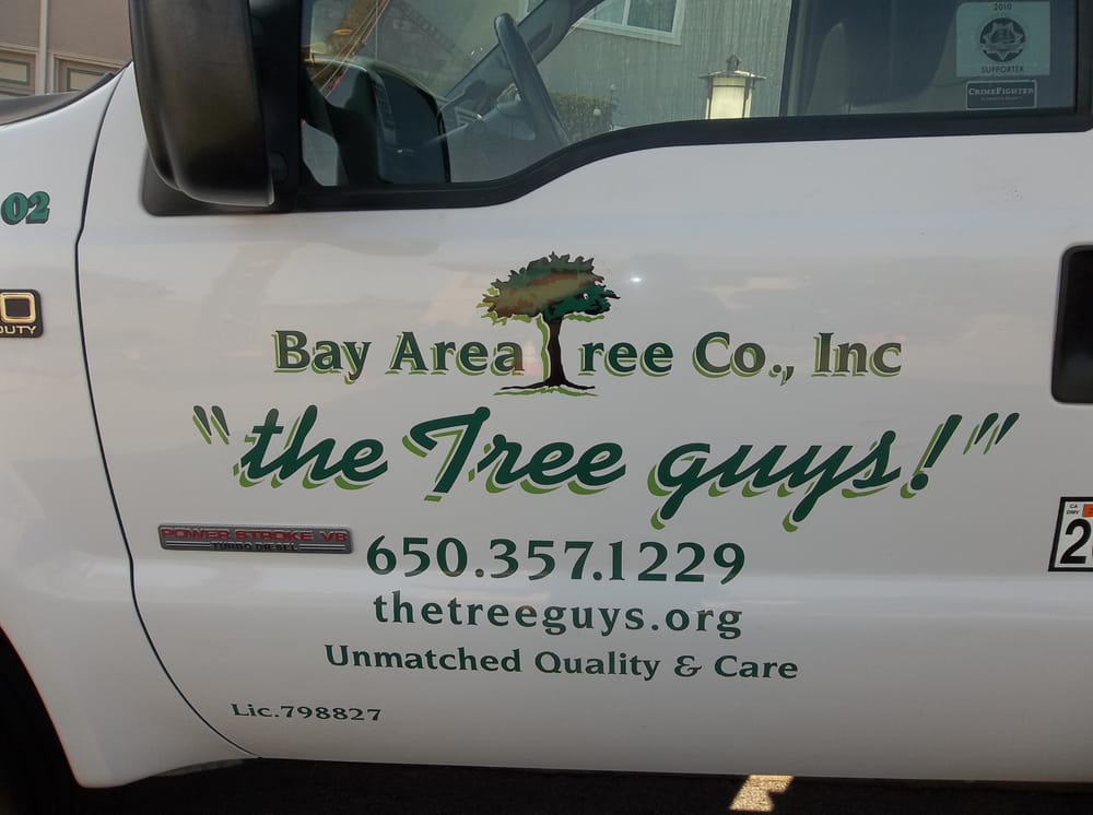 THE TREE GUYS - Updated November 2024 - 54 Photos & 46 Reviews - 63 ...