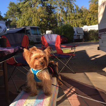 SANTA CRUZ RANCH CAMPGROUND - Updated December 2025 - 28 Photos & 41 ...