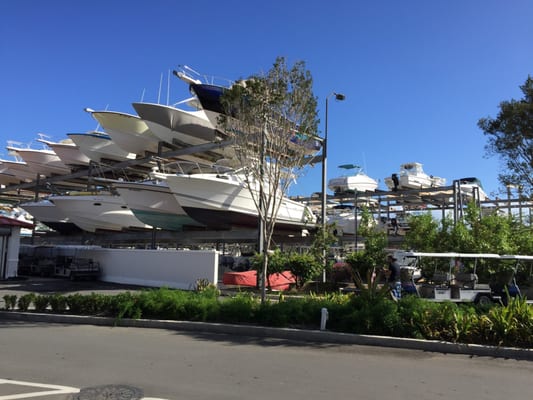 SAFE HARBOR PUERTO DEL REY - Updated December 2025 - 31 Photos ...