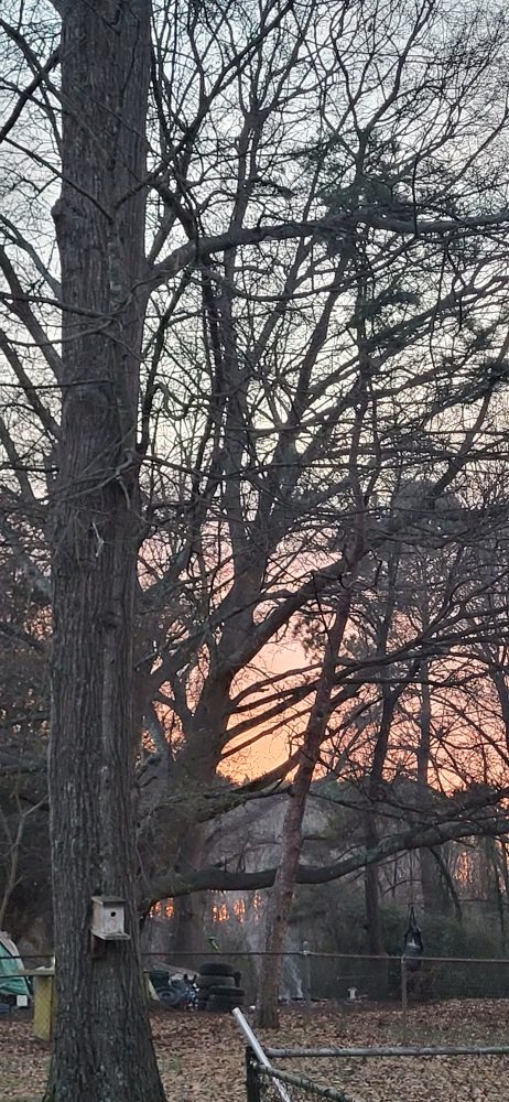 SHADE TREE MECHANIC - Request a Quote - Chesnee, South Carolina - Auto ...