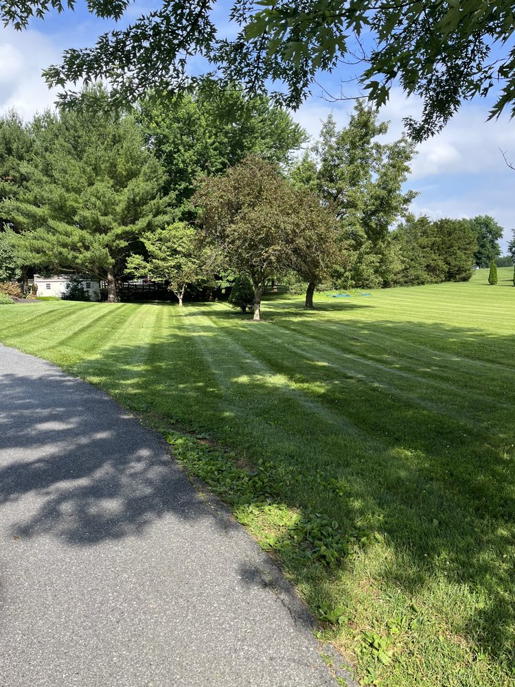 FINE LINE LANDSCAPING - Updated July 2025 - Request a Quote - Union ...