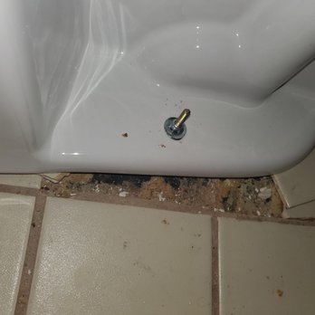 ROTO-ROOTER PLUMBING & WATER CLEANUP - Updated June 2024 - 27 Photos ...