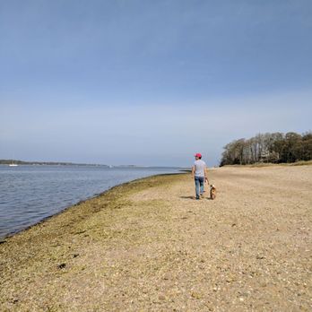 PORT JEFF DOG BEACH - Updated January 2026 - 35 Photos - 12 Buena Vista ...