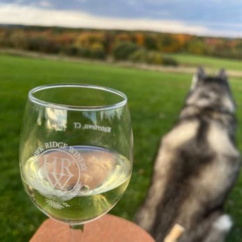 HAWK RIDGE WINERY - Updated December 2025 - 395 Photos & 186 Reviews ...