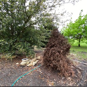 FANNIN TREE FARM - 42 Photos & 43 Reviews - 15700 State Hwy 121, Frisco ...