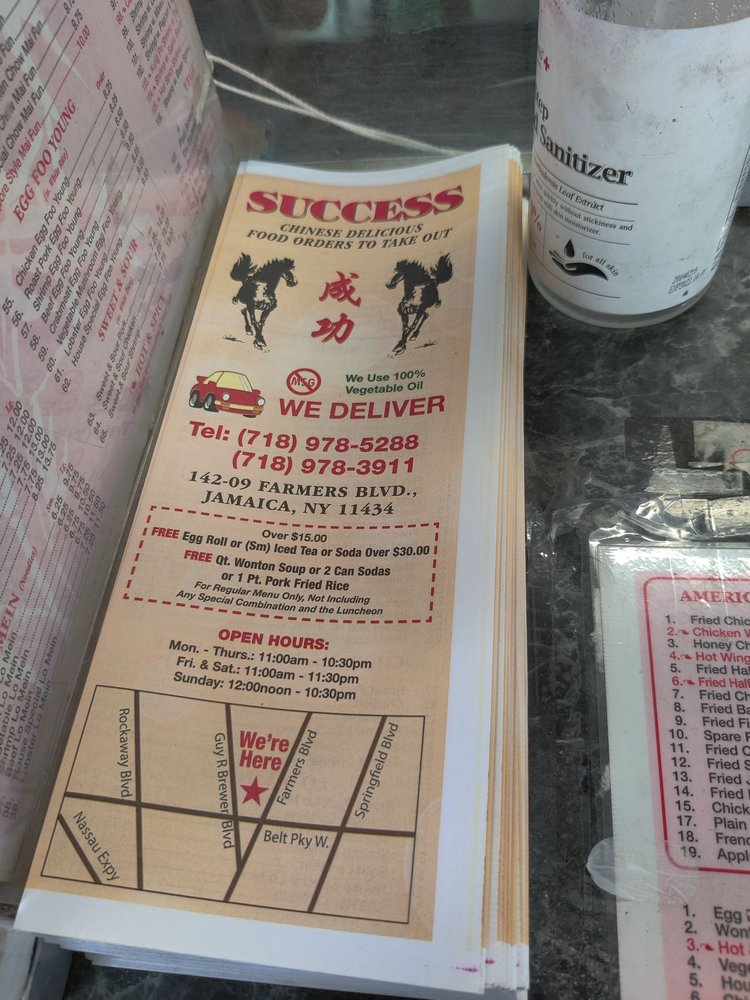 SUCCESS RESTAURANT - Updated May 2025 - 14209 Farmers Blvd, Jamaica ...