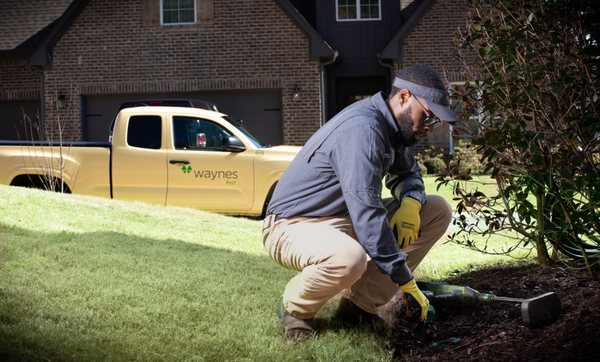 WAYNES PEST CONTROL - Updated August 2025 - 110 Commerce Dr, Pelham ...
