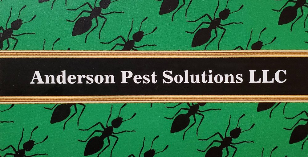 ANDERSON PEST SOLUTIONS - Updated August 2025 - Beaufort, South ...
