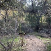 TRAIL CANYON FALLS - 503 Photos & 111 Reviews - Trail Canyon Rd ...