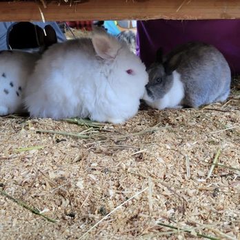 MAPLEWOOD FARM - Updated September 2025 - 252 Photos & 46 Reviews - 405 ...