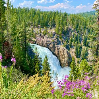 UPPER FALLS - Updated June 2024 - S Rim Dr, Canyon Village, Wyoming ...