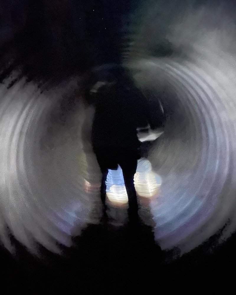 TENDERCROP FARM - Updated December 2025 - 34 Photos & 61 Reviews - 123 ...