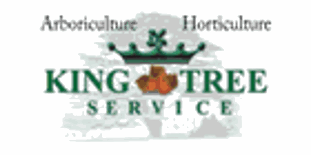 KING TREE SERVICE - Updated January 2025 - 19 Dianne Avenue, Cambridge ...