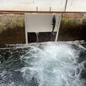 CASCADE FISH HATCHERY - Updated January 2026 - 74152 NE Eagle Creek Lp ...