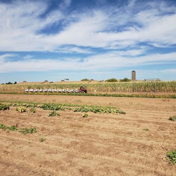 TOLMACHOFF FARMS - Updated October 2024 - 216 Photos & 148 Reviews ...