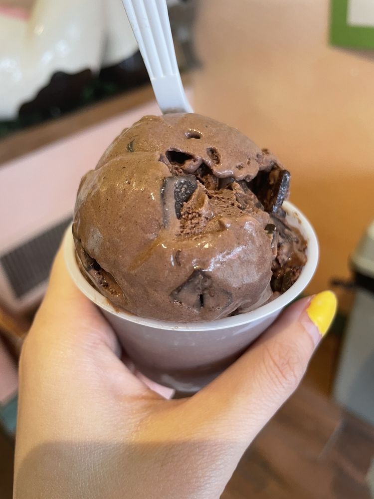 LIZZY’S HOMEMADE ICE CREAM - Updated May 2025 - 151 Photos & 290 ...