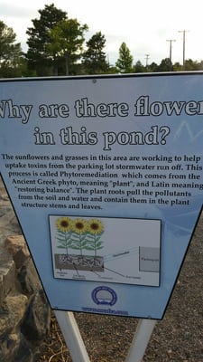 HAYNES PARK - Updated October 2025 - 14 Photos - 2006 Grande Blvd SE ...