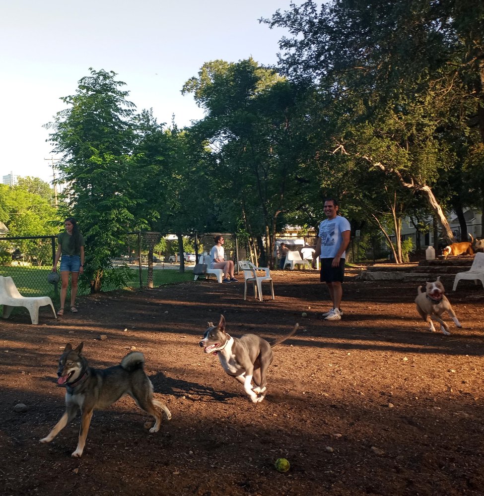 WEST AUSTIN PARK & WADING POOL - 72 Photos & 64 Reviews - 1317 W 10th ...