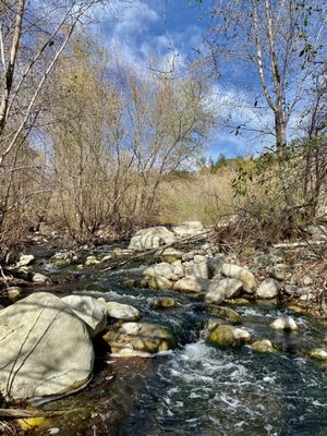 STECKEL PARK - 53 Photos & 40 Reviews - Ojai Santa Paula Rd, Santa ...