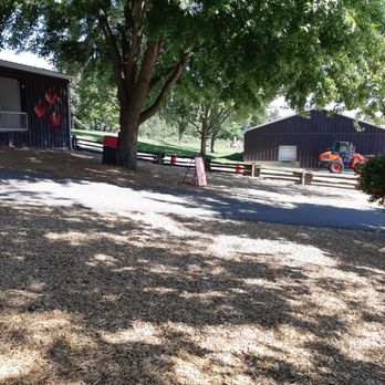 SPRINGRIDGE FARM - Updated November 2025 - 160 Photos & 44 Reviews ...