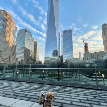 ONE WORLD TRADE CENTER - Updated June 2025 - 3343 Photos & 577 Reviews ...