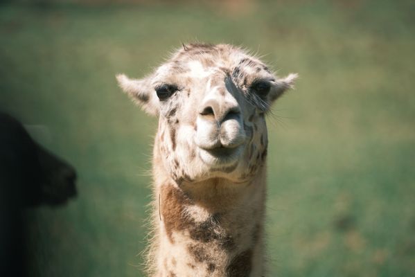 LAZY 5 RANCH - Updated October 2025 - 302 Reviews & 880 Photos - 15100 ...