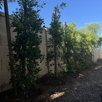 MOON VALLEY NURSERIES - Updated September 2025 - 184 Photos & 140 Reviews - 1828 N 52nd St ...