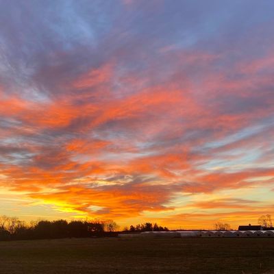 ANDREWS FAMILY FARM & GREENHOUSES - Updated August 2025 - 19 Photos ...