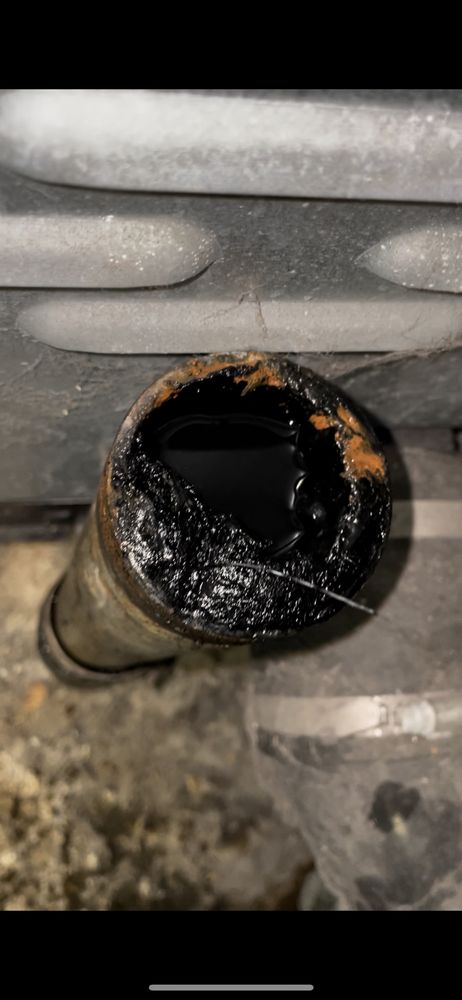 Drain and Trenchless - Updated January 2026 - 302 Photos - 85 Reviews ...