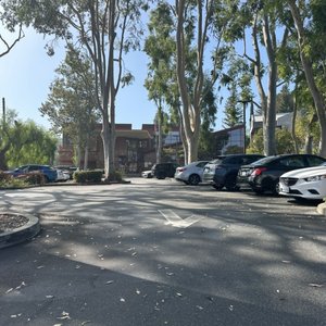 ENCINO-TARZANA BRANCH LIBRARY - Updated June 2025 - 35 Photos & 70 ...