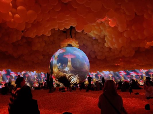 BALLOON MUSEUM - Updated September 2025 - 321 Photos & 69 Reviews ...